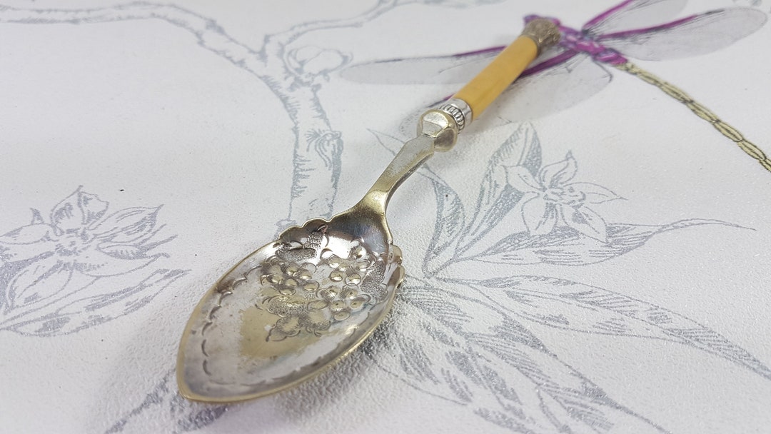 Antique Preserve Spoon, Ornate Silver Plate Jam Spoon With Celluloid ...