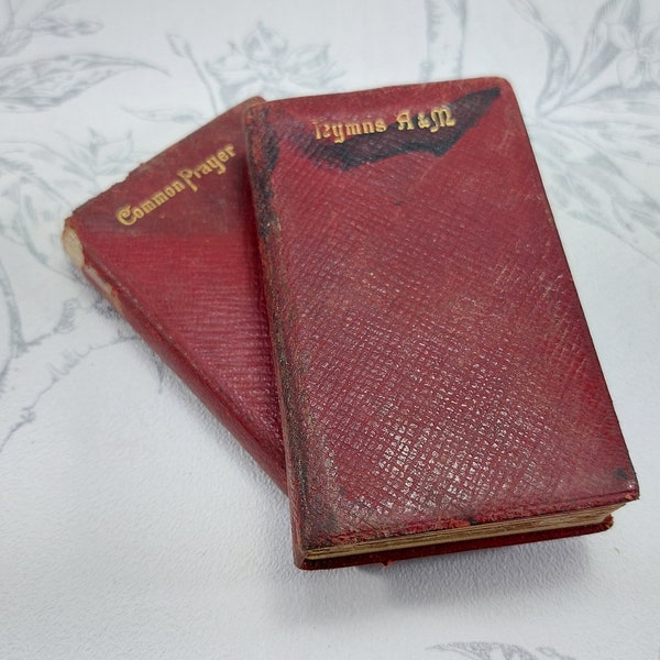 Small Vintage Books - Etsy