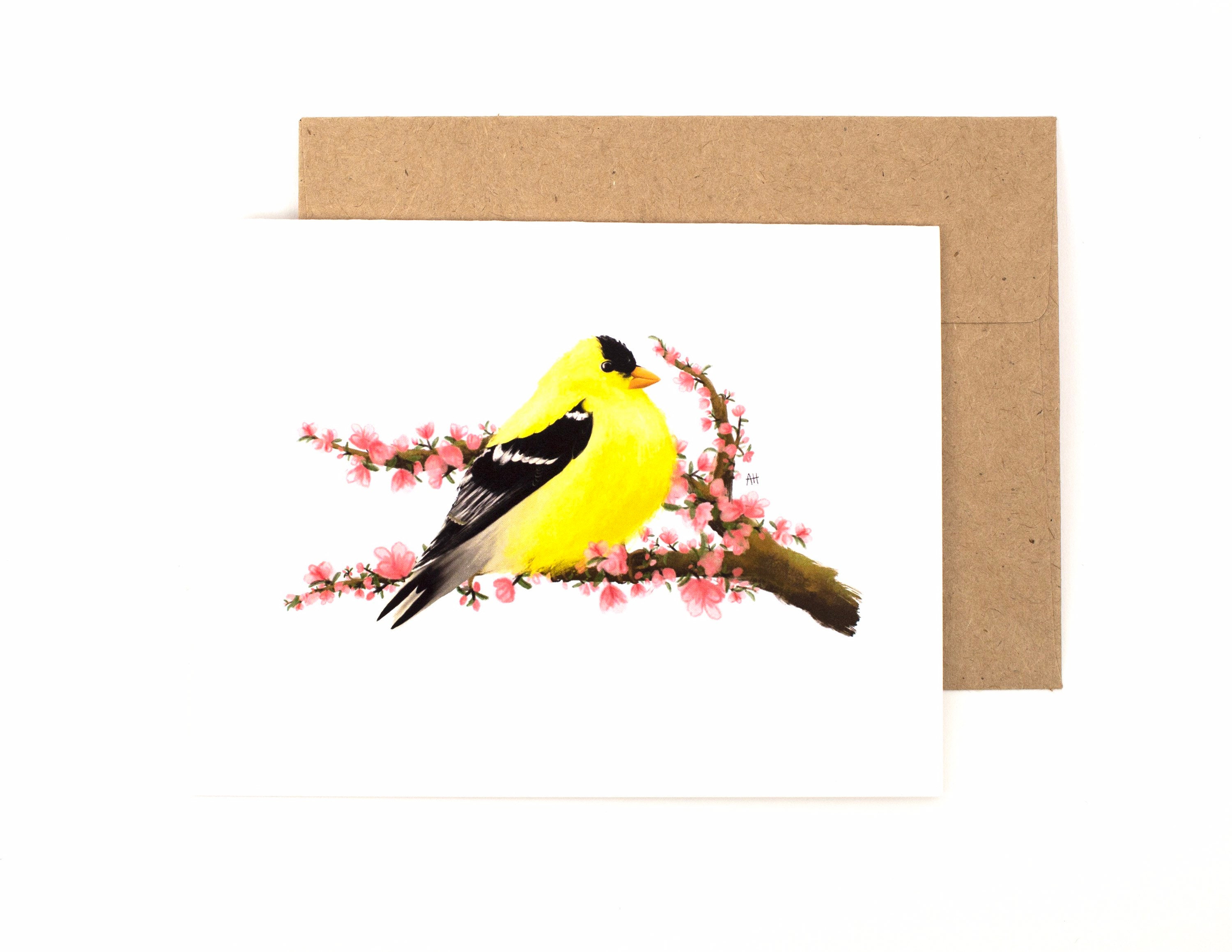 Assorted Bird Cards Set 2 Bird Greeting Cards - Etsy UK
