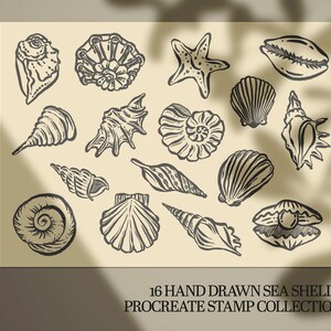 Shapes Procreate Stamp Brushes Sea Shell, Ocean Procreate Brushes ...