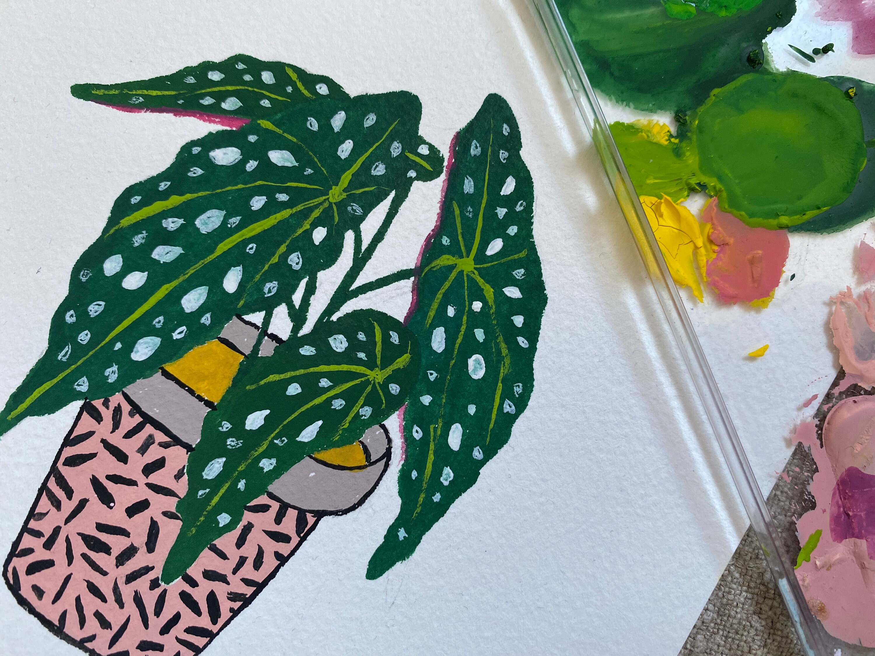 Original Gouache Painting Plant Botanic - Illustration Begonia Maculata ...