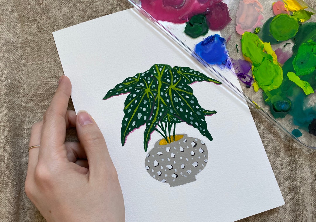 Original Gouache Painting Plant Botanic - Illustration Begonia Maculata ...
