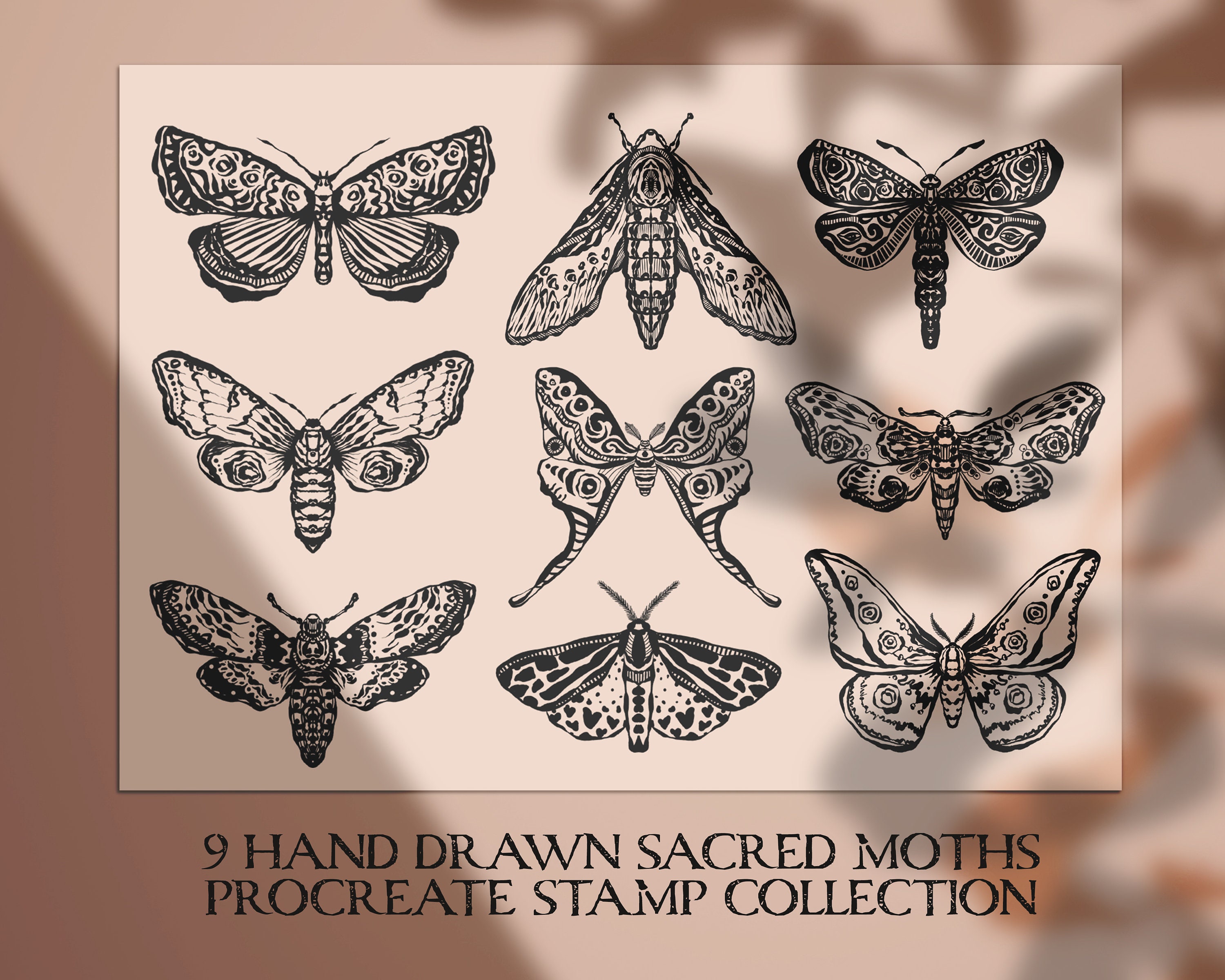 Sacred Moths Butterfly Butterflies Moth Brushes Procreate Stamps Digital for Ipad, Procreate ...