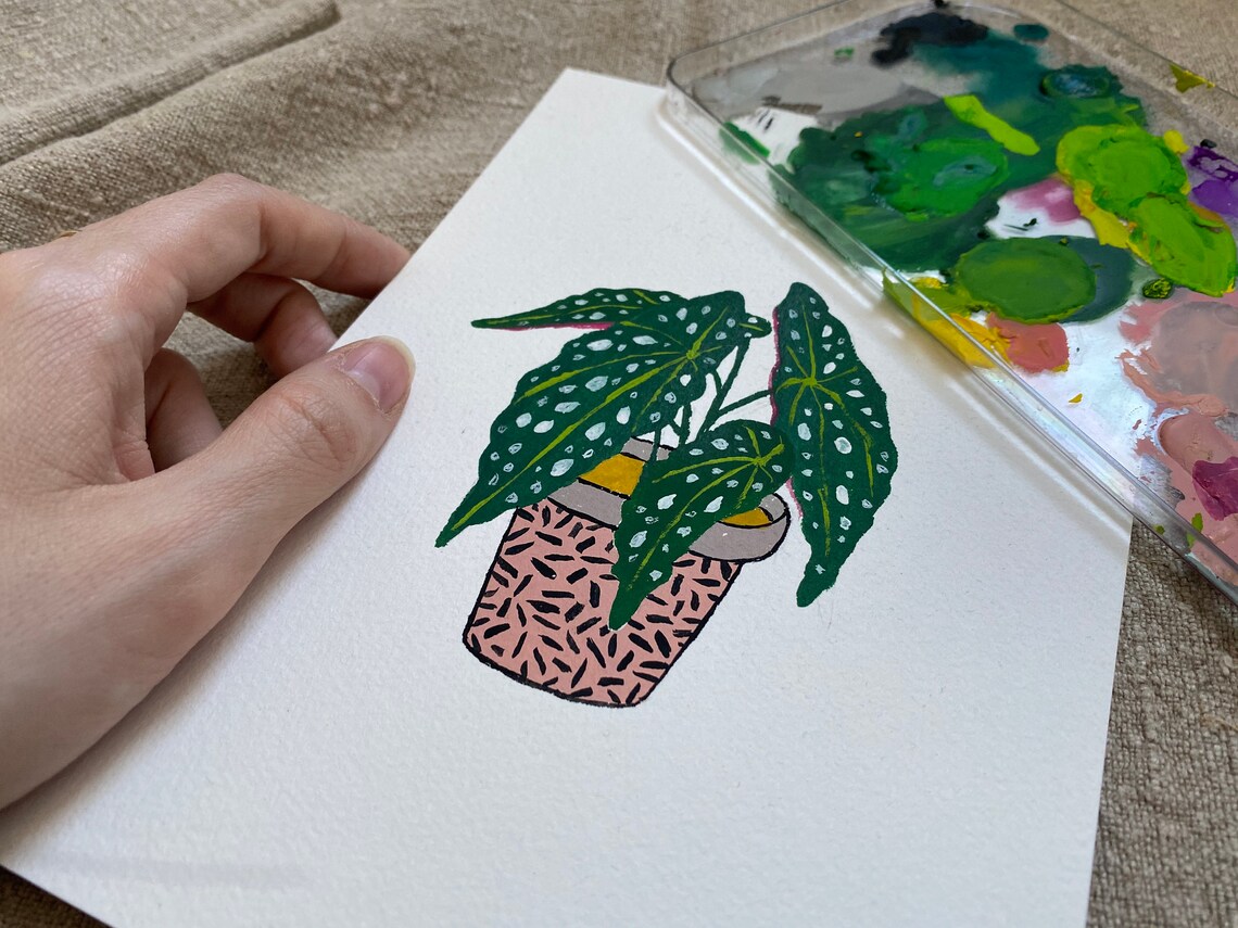 Original Gouache Painting Plant Botanic - Illustration Begonia Maculata ...