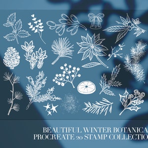 Winter Flower Winterberry Crocus Brushes Procreate - Stamps Digital for ...