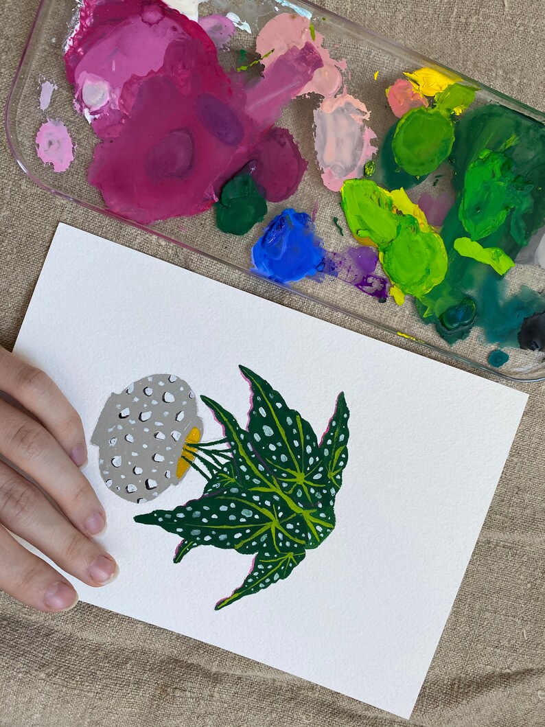Original Gouache Painting Plant Botanic - Illustration Begonia Maculata ...