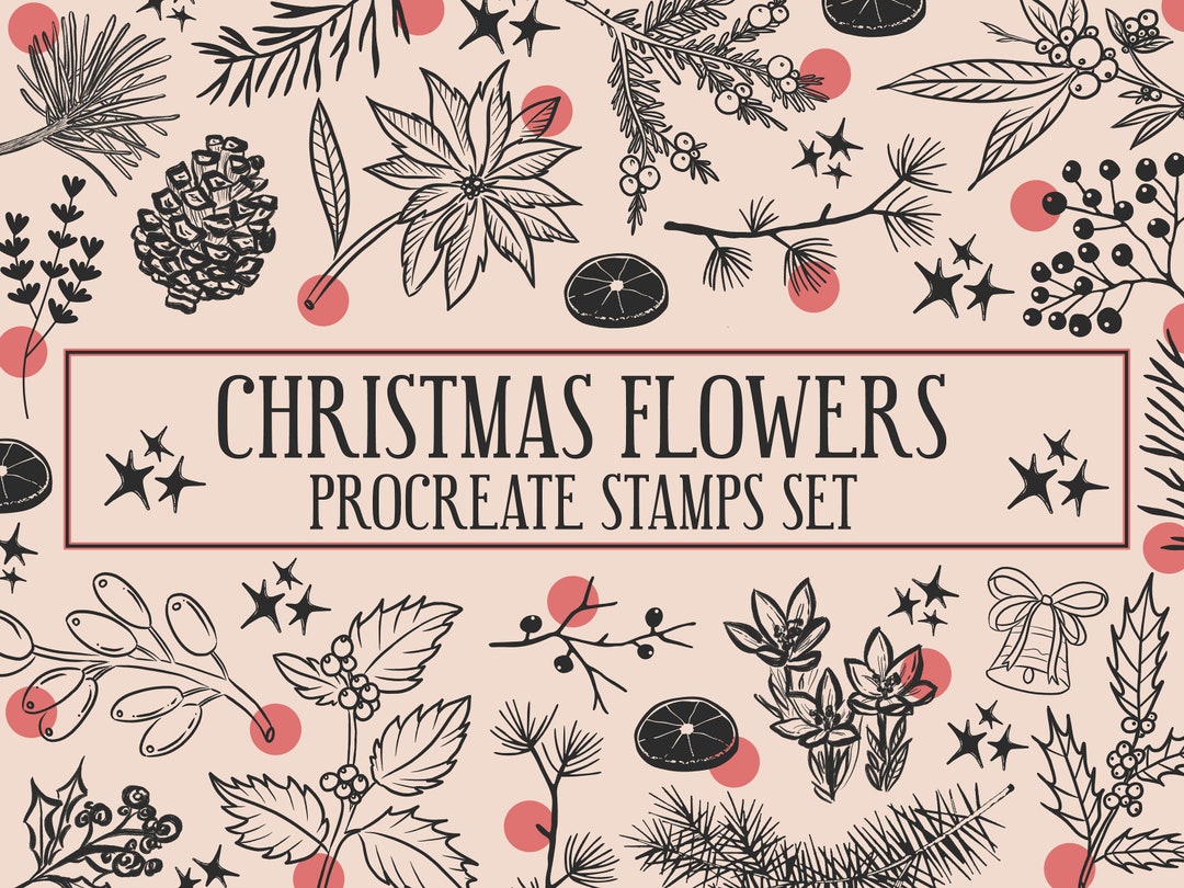 Winter Flower Winterberry Crocus Brushes Procreate - Stamps Digital for ...