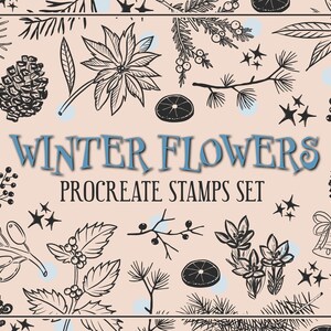 Winter Flower Winterberry Crocus Brushes Procreate - Stamps Digital for ...