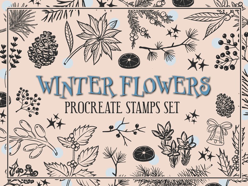 Winter Flower Winterberry Crocus Brushes Procreate Stamps - Etsy