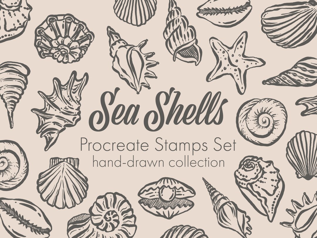 Shapes Procreate Stamp Brushes Sea Shell, Ocean Procreate Brushes ...