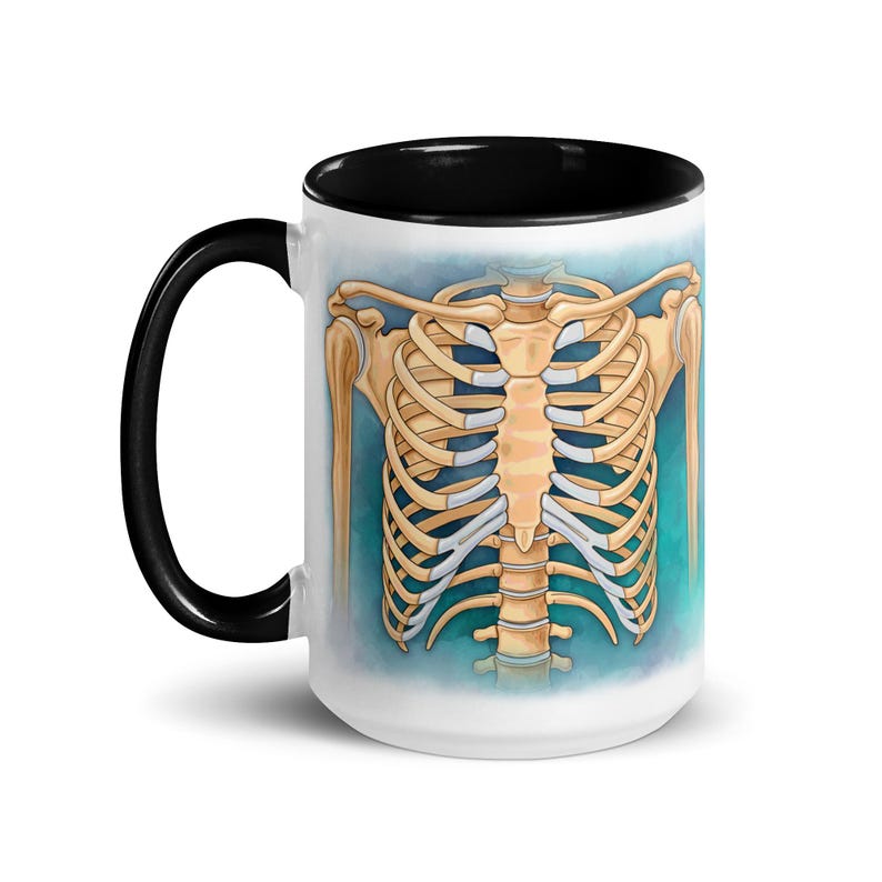 Human Anatomy Coffee Mug, Rib Cage and Spine Coffee Cup, Medical ...