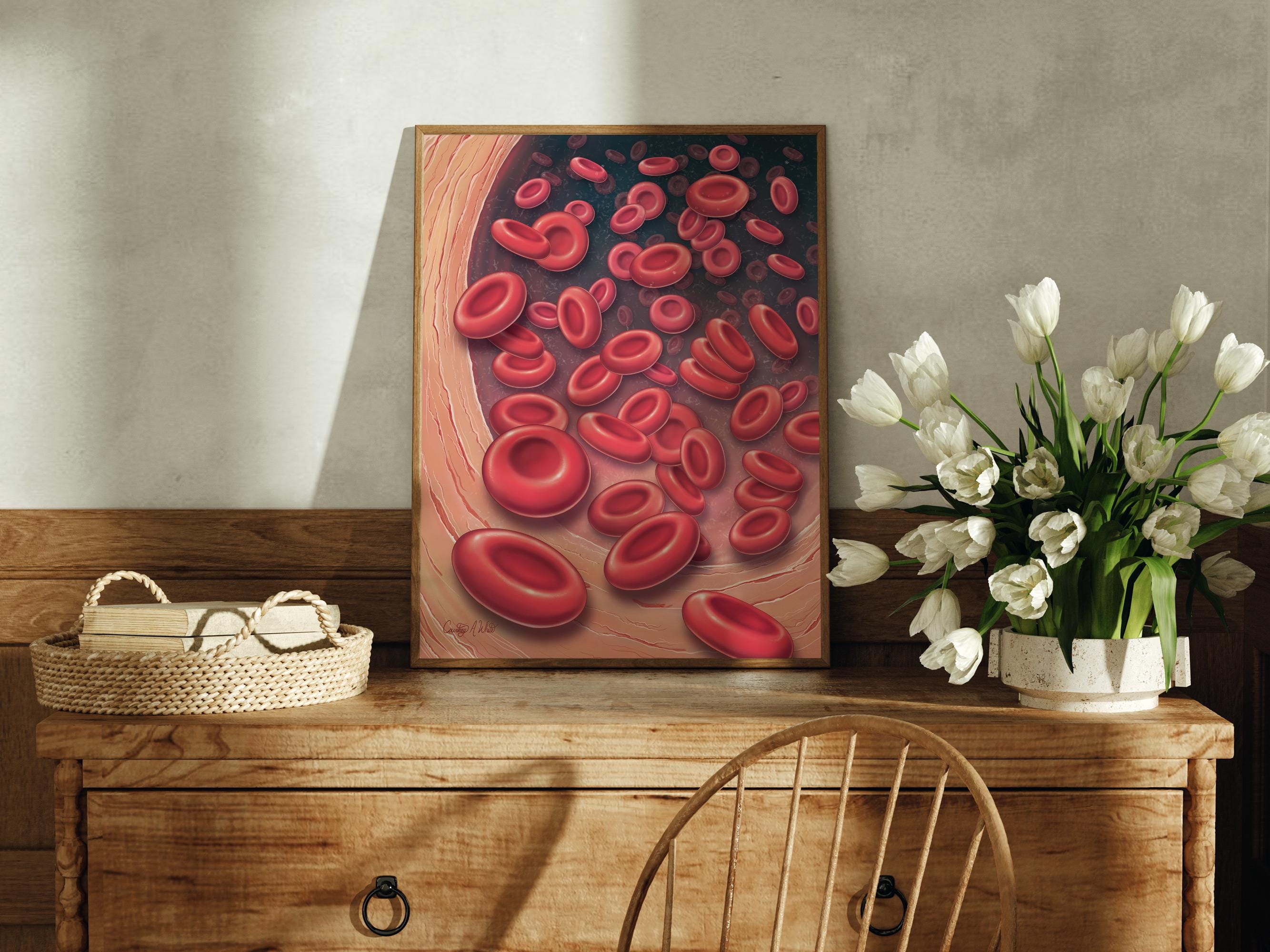 Red Blood Cell Art Print, RBC Hematology Science Artwork, Blood Cell ...