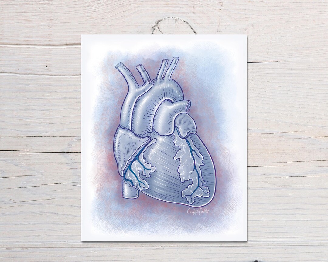 Heart Anatomy Flat Note Card for Doctor Gift, Medical Illustration Note ...