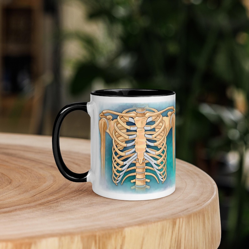 Human Anatomy Coffee Mug, Rib Cage and Spine Coffee Cup, Medical ...