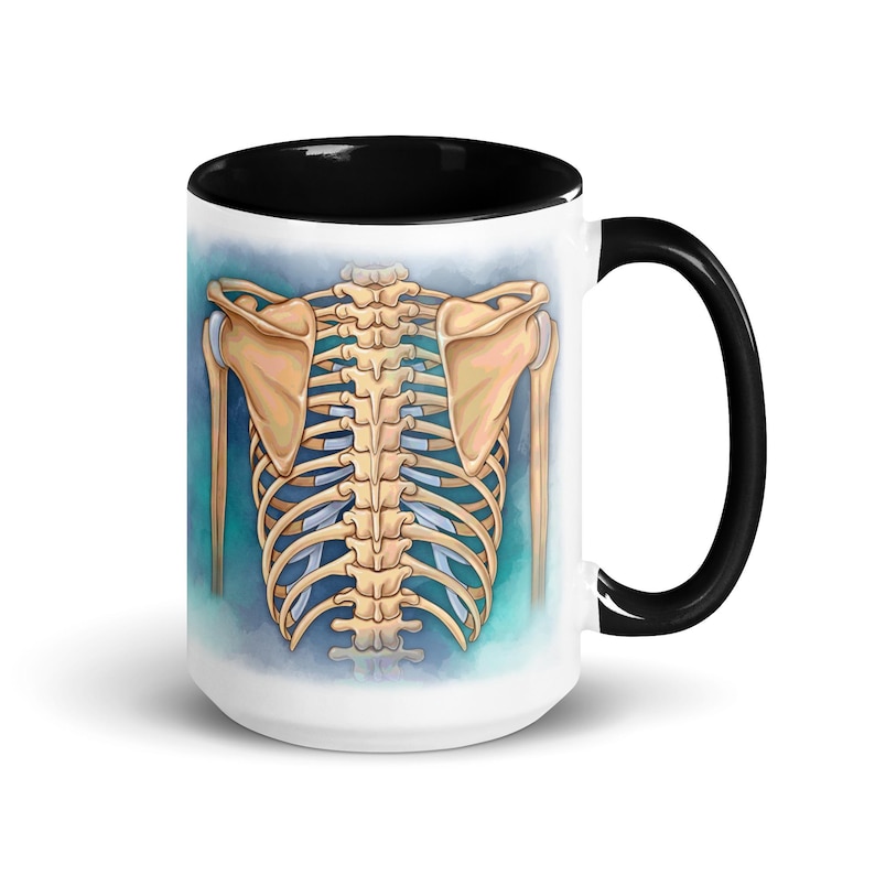 Human Anatomy Coffee Mug, Rib Cage and Spine Coffee Cup, Medical ...