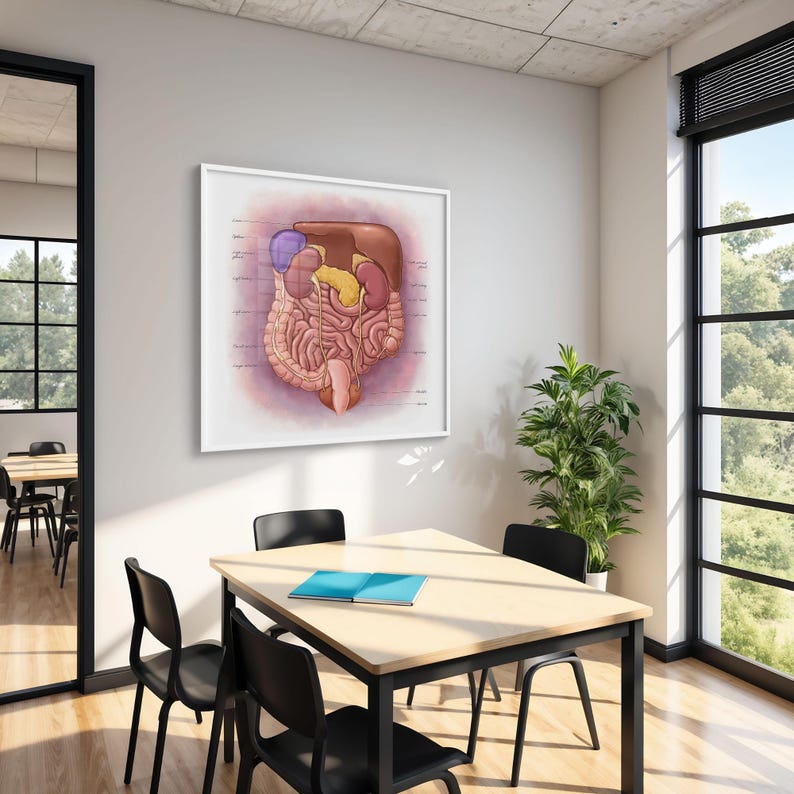 Digestive Anatomy Wall Art Print, GI Organs Medical Illustration ...