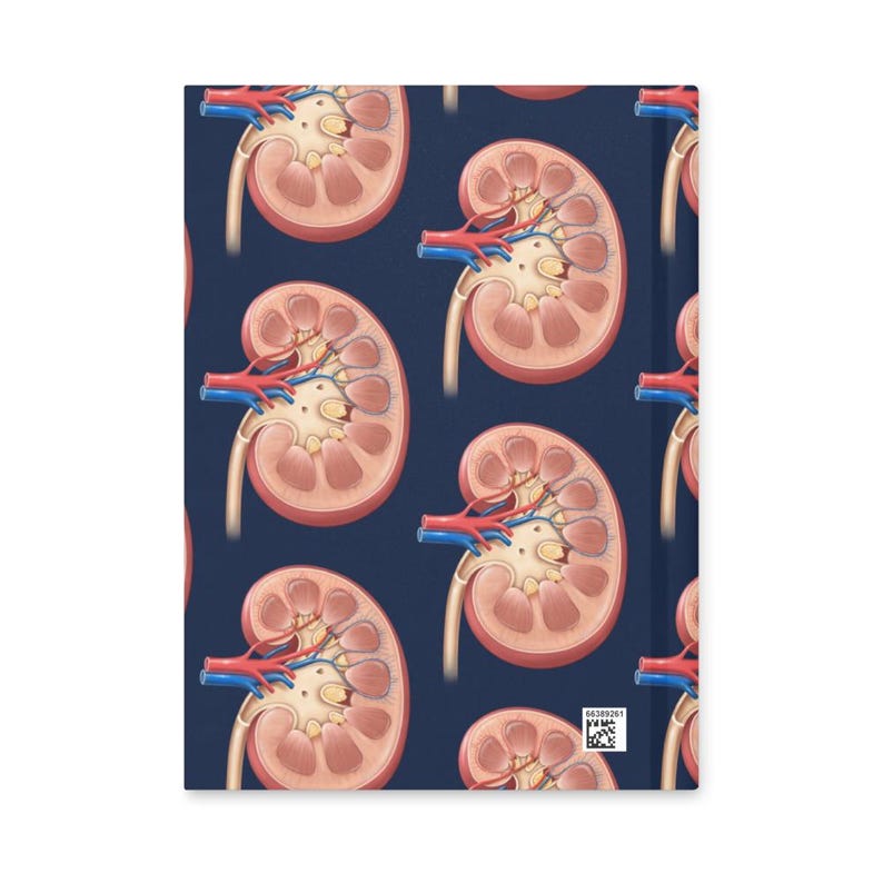 Kidney Anatomy Cover Art Medical Student Notebook, Hardcover Medical ...
