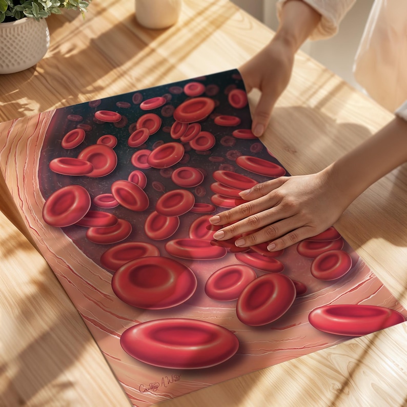 Red Blood Cell Art Print, RBC Hematology Science Artwork, Blood Cell ...