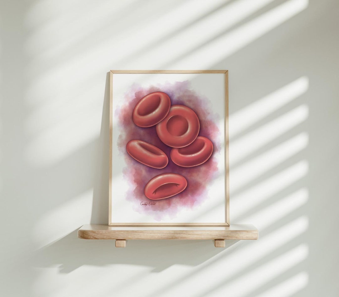 Medical Art Red Blood Cells Wall Art Painting Medical Illustration ...