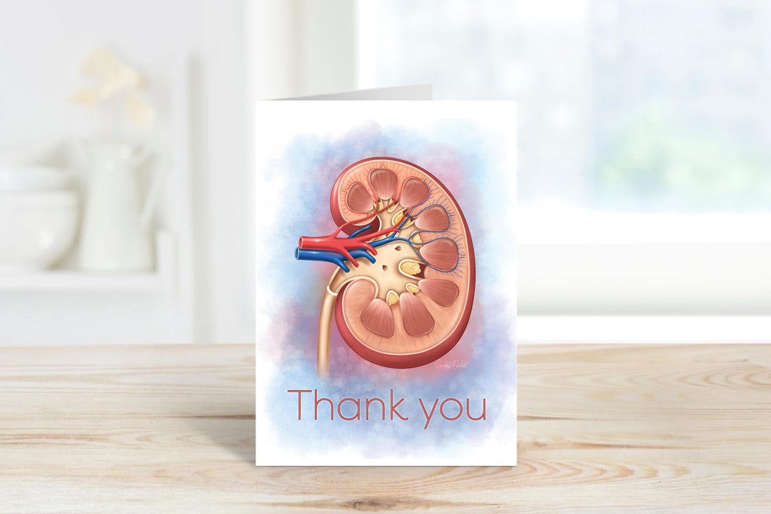 Kidney Doctor Thank You Card, Nephrologist Gift, Hospital Stationery ...