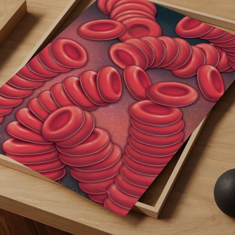 Red Blood Cells Wall Art Bundle With Two Prints, Medical Illustration ...