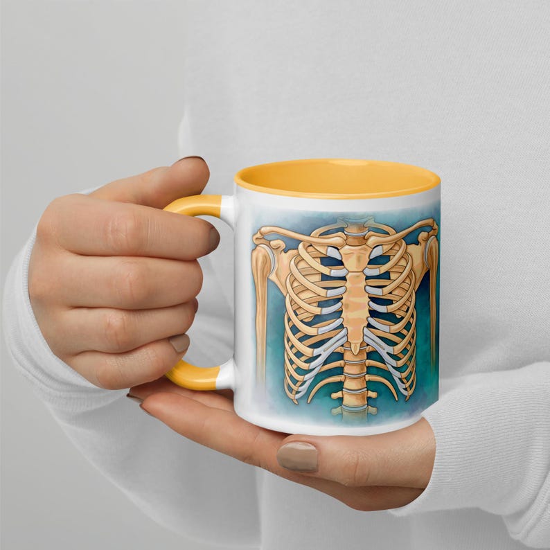 Human Anatomy Coffee Mug, Rib Cage and Spine Coffee Cup, Medical ...