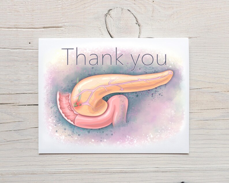 Pancreas Anatomy Thank You Card, Medical Illustration Greeting Card ...
