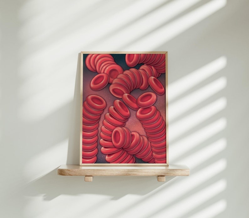 Red Blood Cells Art Print, Medical Illustration Wall Decor, Hematology ...