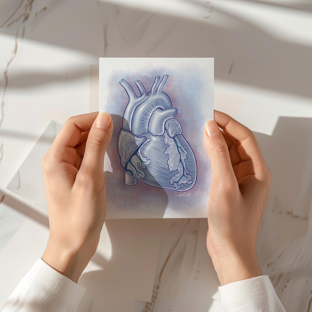 Heart Anatomy Flat Note Card for Doctor Gift, Medical Illustration Note ...