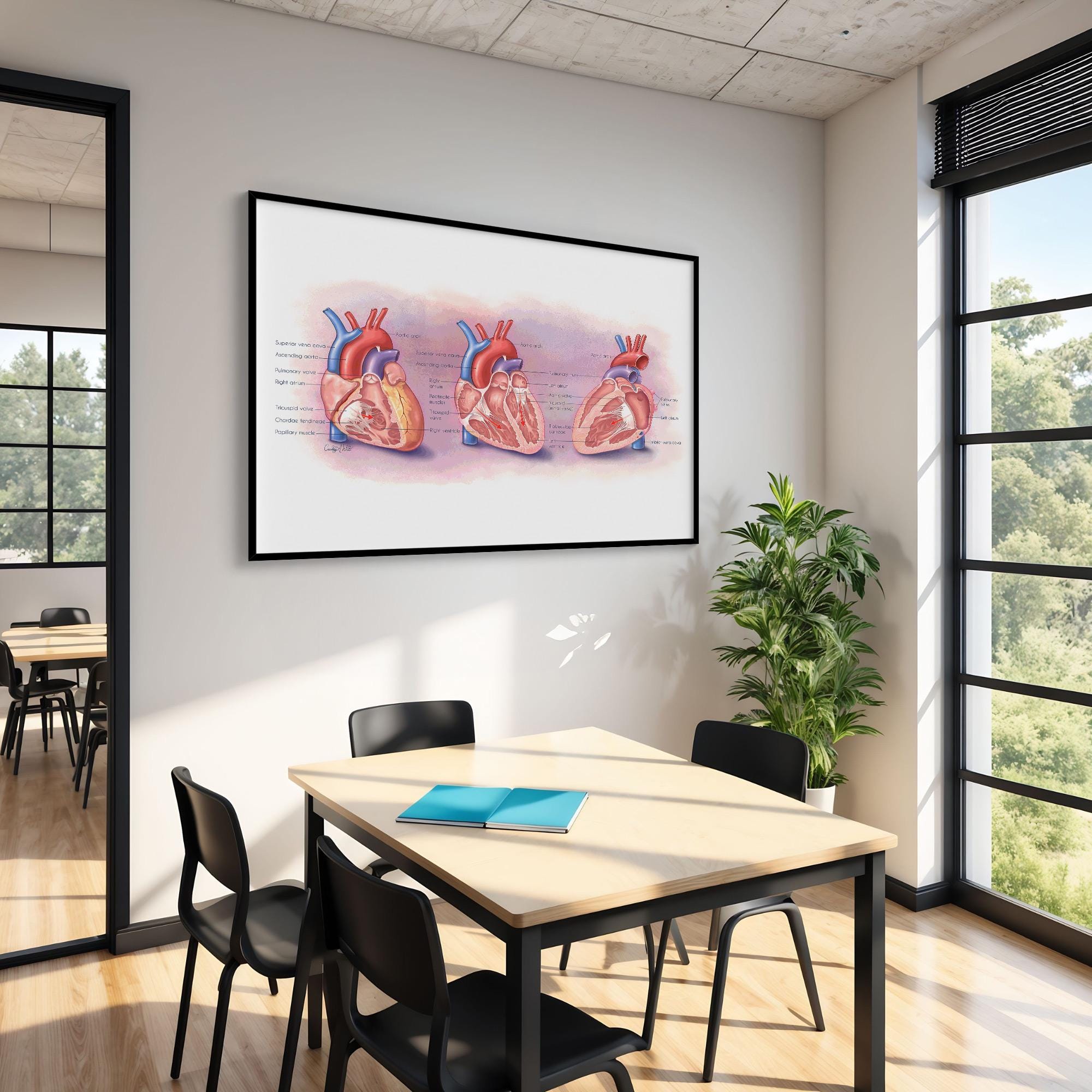 Human Heart Illustration, Anatomical Heart Print, Heart Diagram ...