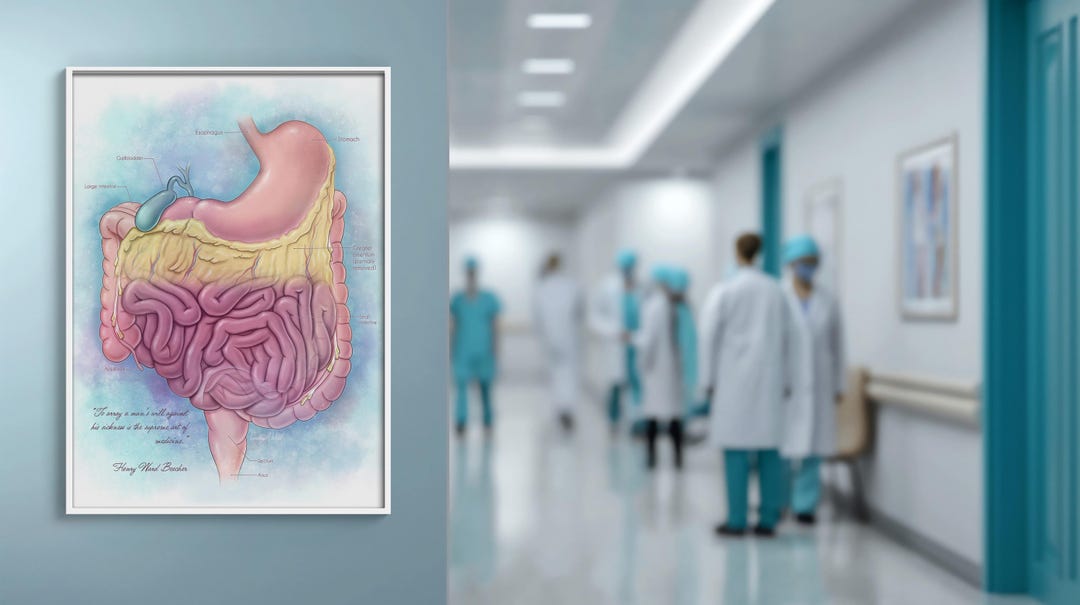GI Tract Anatomy Art Print, Medical Illustration Wall Decor With Quote ...