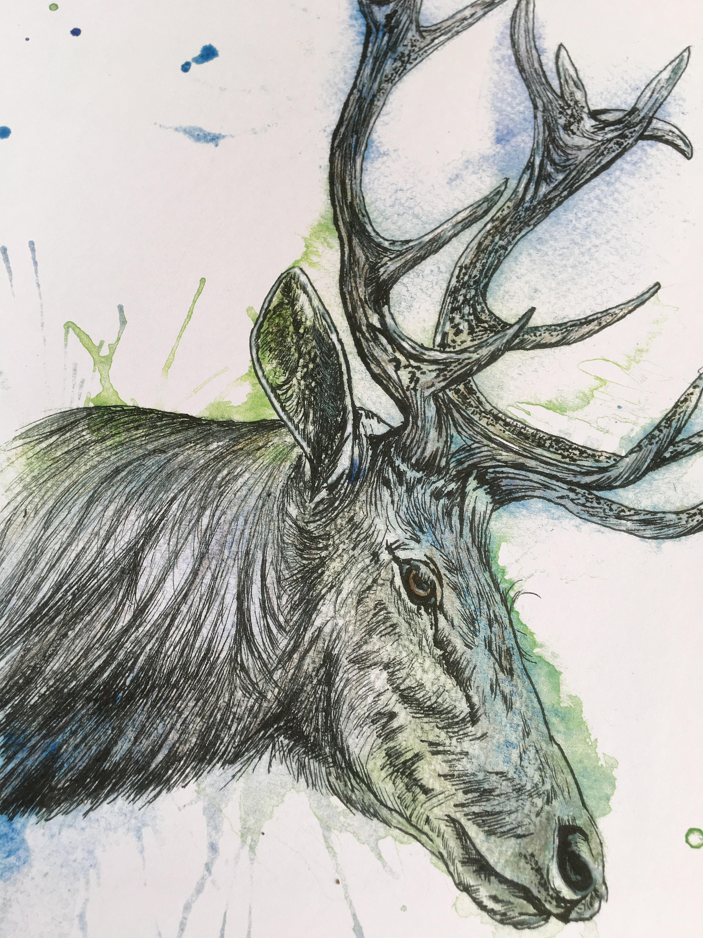 The Forest King 10x14 Inch Print - Etsy