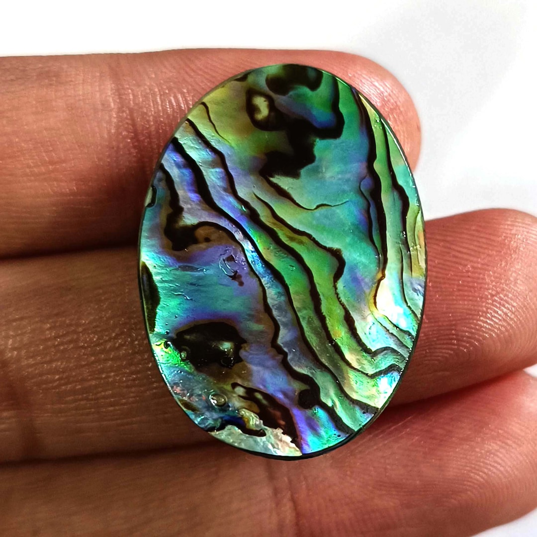 Rainbow Abalone Shell, Natural Iridescent Flashy Abalone Shell, Mother ...