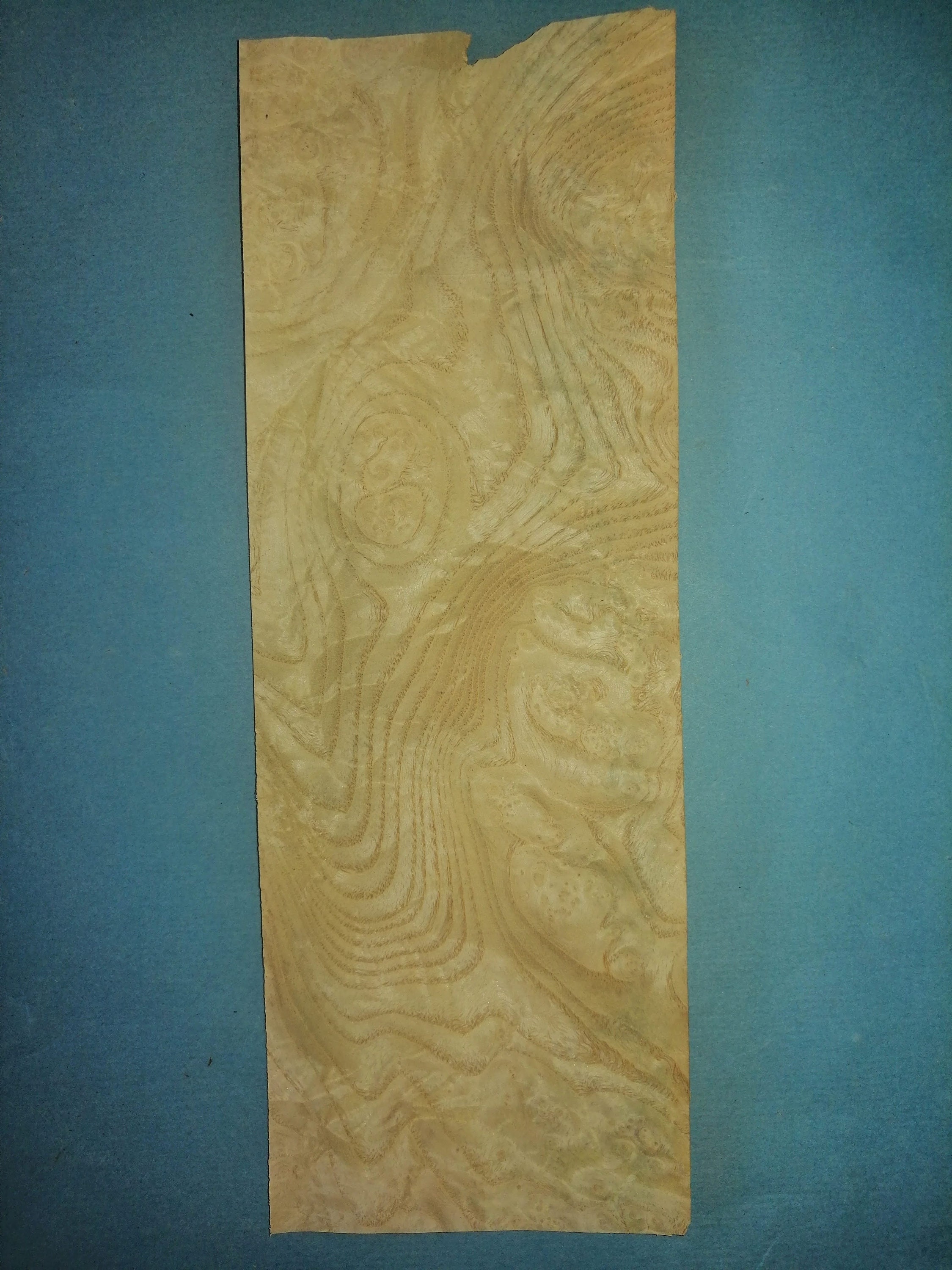 10 Sample Sheets of Real Wood Burr Veneers Marquetry Bubinga - Etsy