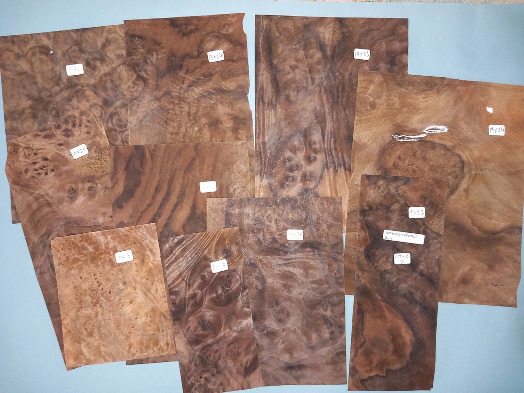 Mixed Burr Pack American Burr Walnut Veneer ETWB6 - Etsy