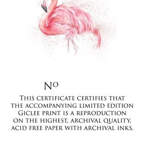 Flamingo Art Print Pink Flamingo Limited Edition | Etsy