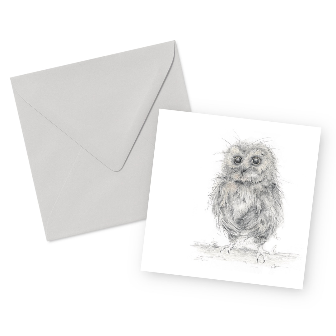 Owl Greeting Card, Animal Cards - Etsy