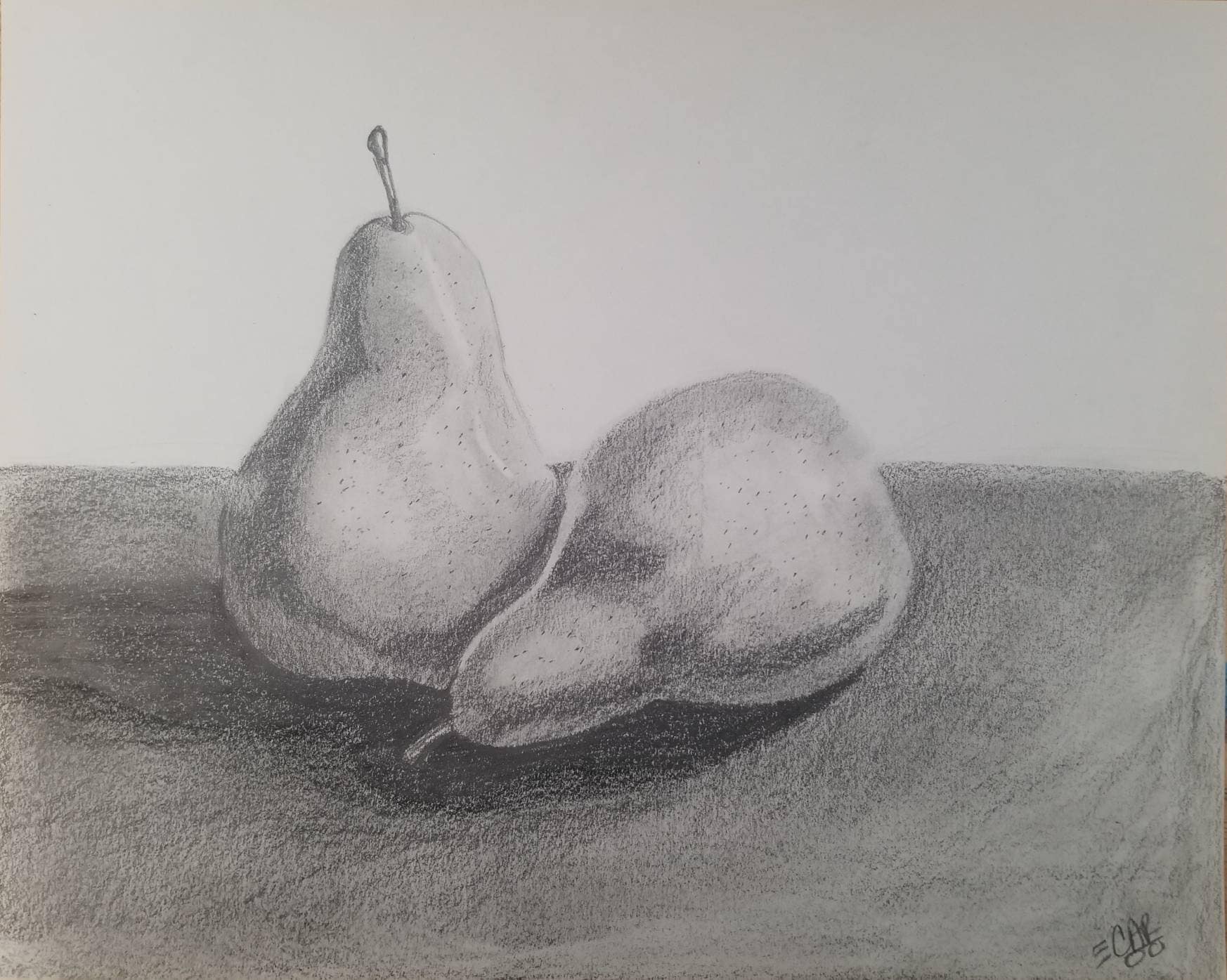 Pear Drawing