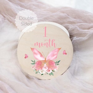 Butterfly Milestone Cards, Baby Milestone Butterfly Discs Marker, Wood ...