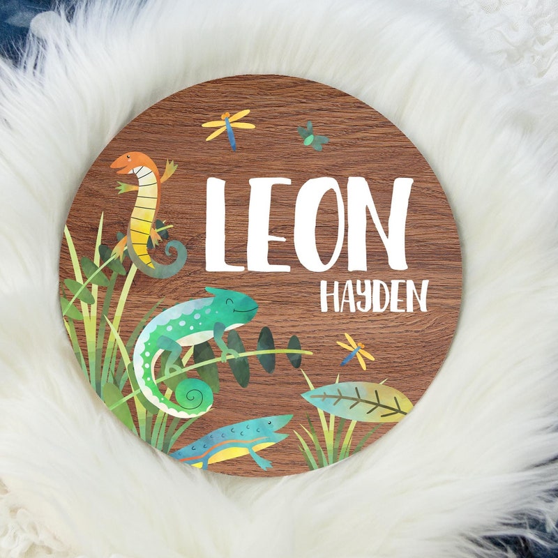 Wooden Reptile Signs - Etsy