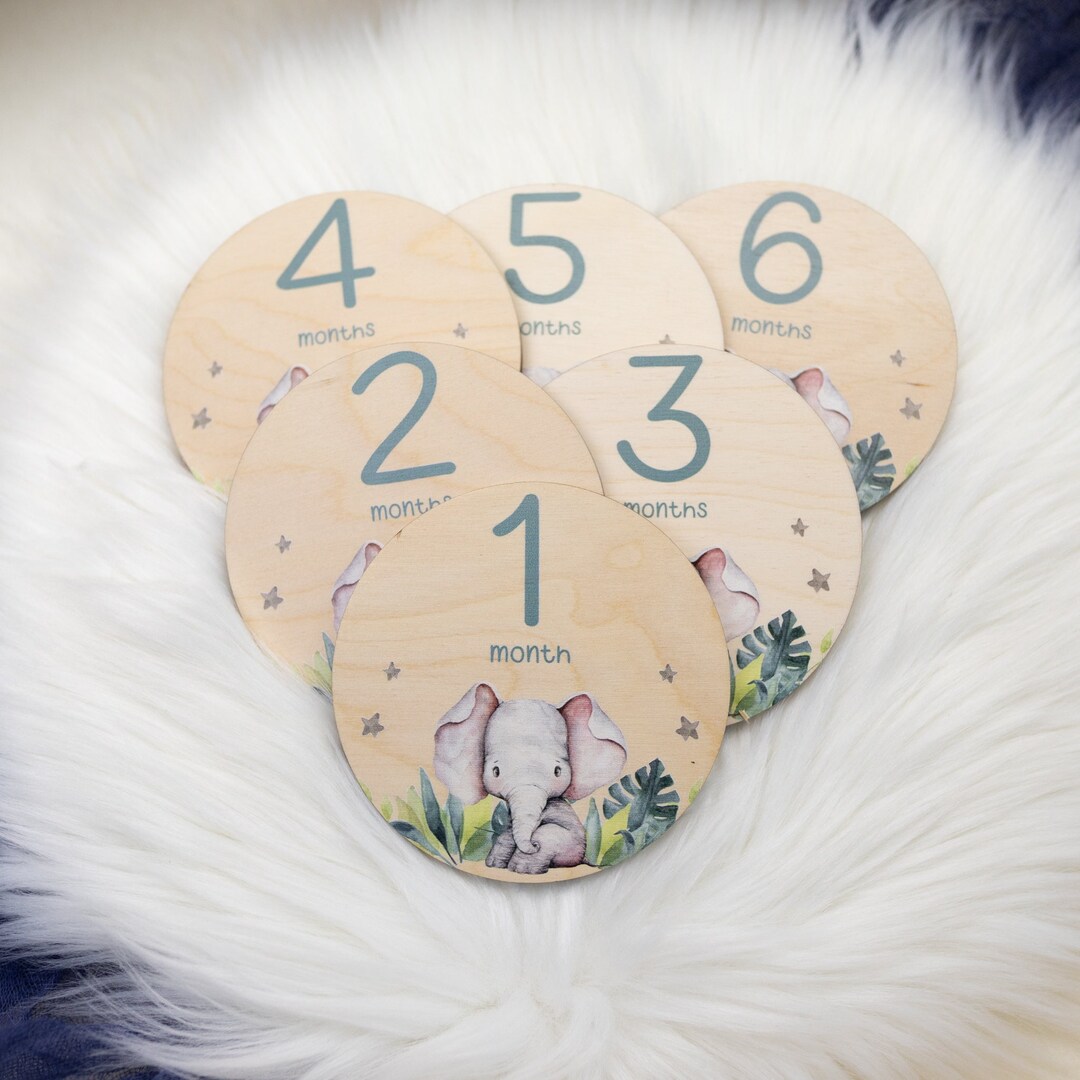 Elephant Milestone Cards, Baby Milestone Elephant Discs Marker, Wood ...