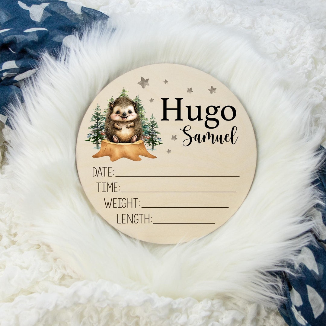 Hedgehog Birth Stat Sign, Boy Birth Stat Sign, Round Wood Birth Stat ...