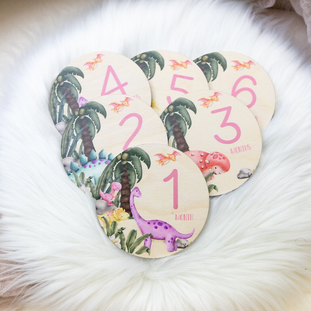 Girl Dinosaur Milestone Cards, Baby Milestone Dinosaur Discs Marker ...