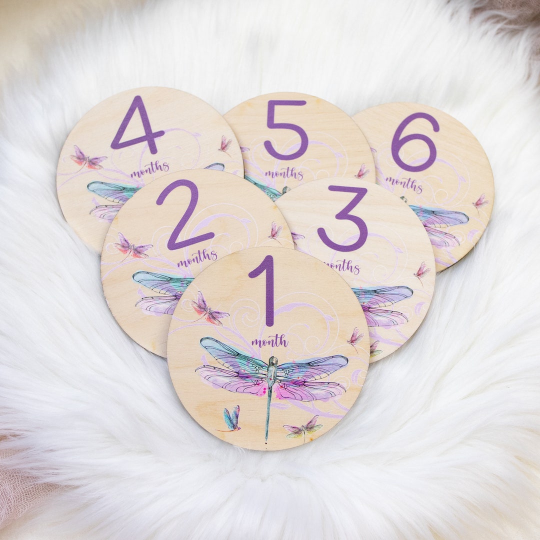 Dragonfly Milestone Cards, Baby Milestone Butterfly Discs Marker, Wood ...