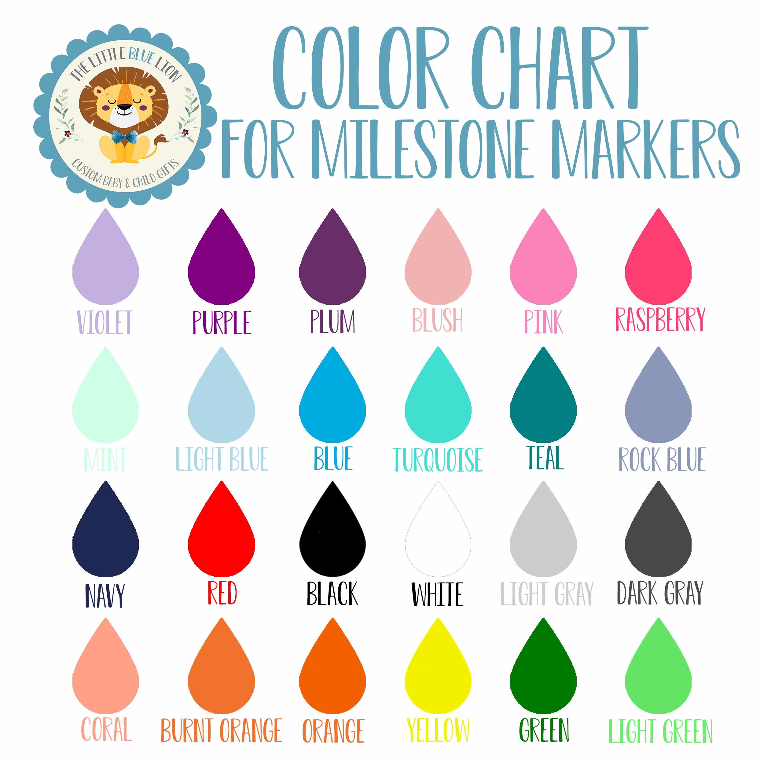 Hot Air Balloon Milestone Marker Milestone Blanket Marker | Etsy