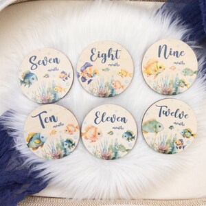 Under the Sea Milestone Cards, Baby Milestone Fish Discs Marker, Wood ...
