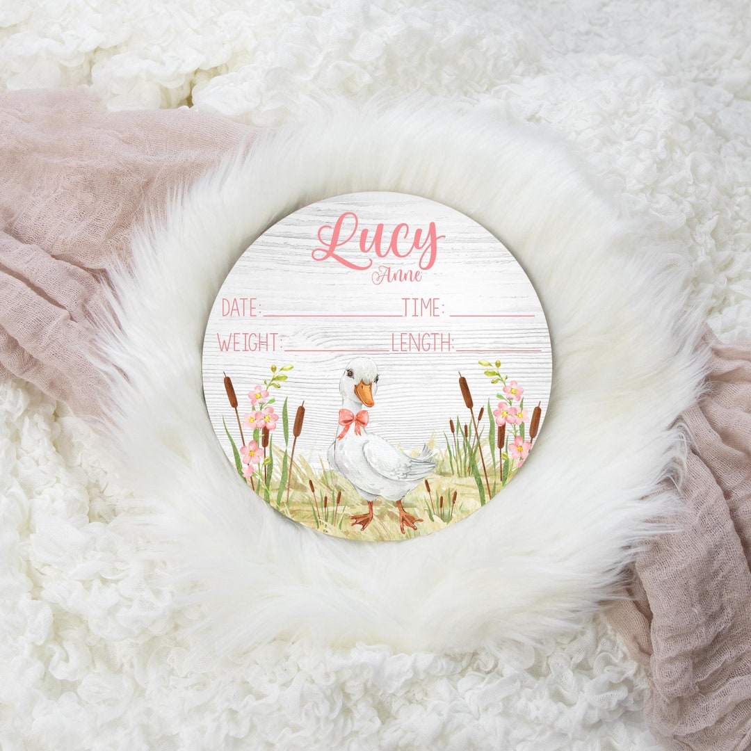 Girl Goose Birth Stat Sign, Goose Birth Stat Sign, Round Wood Birth ...