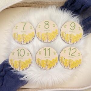 Aspen Trees Milestone Cards, Baby Milestone Forest Markers, Wood ...