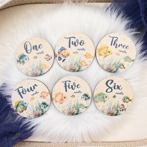 Under the Sea Milestone Cards, Baby Milestone Fish Discs Marker, Wood ...