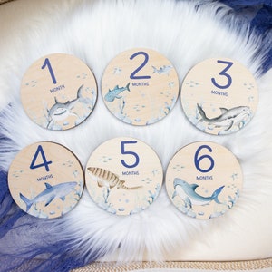 Shark Milestone Cards, Baby Milestone Ocean Life Discs Marker, Wood ...